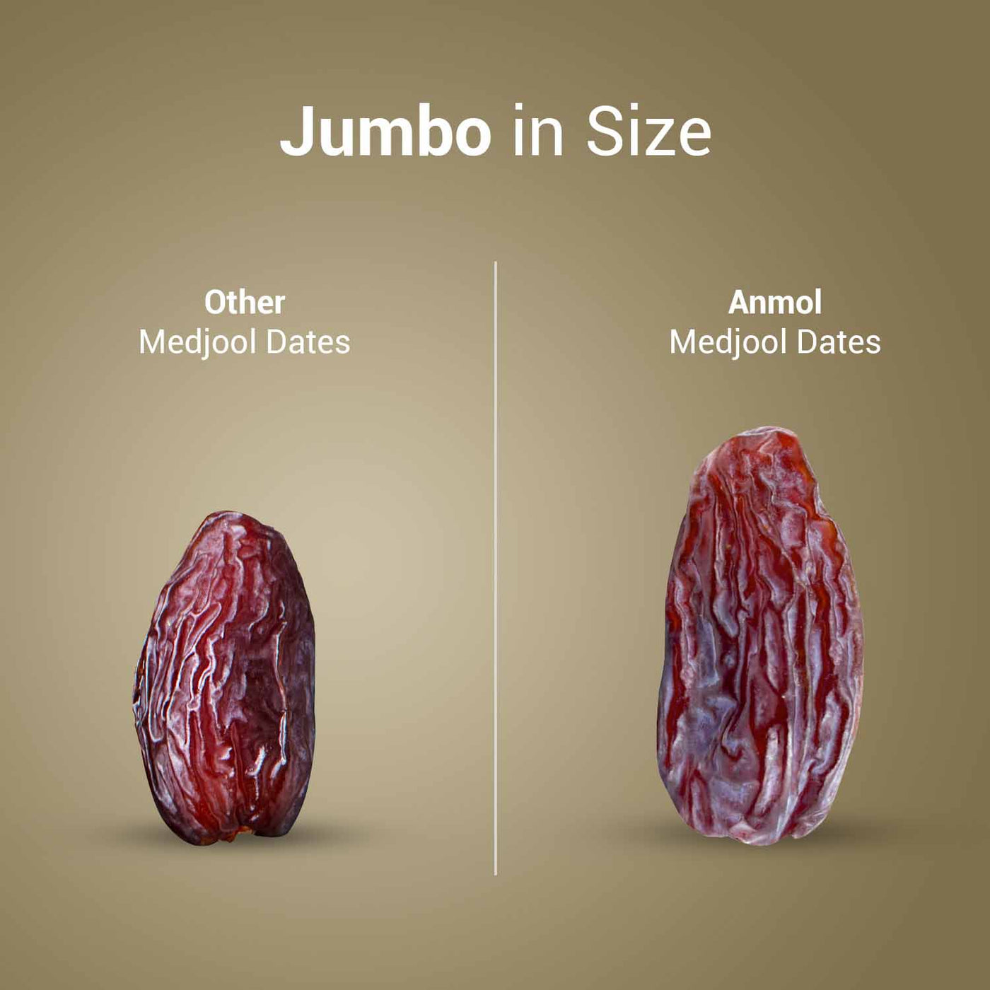 Buy Nutraj Anmol Premium Medjool Dates 500 GM Online