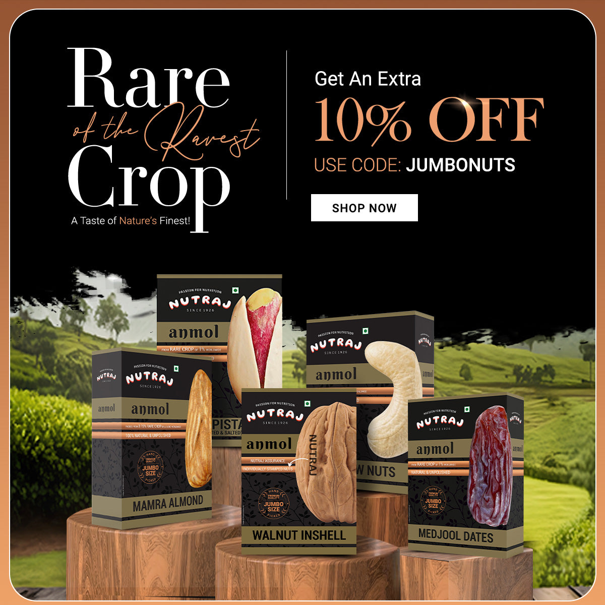 Nutraj Online Dry Fruits Store - Buy Nuts & Dry Fruits in India